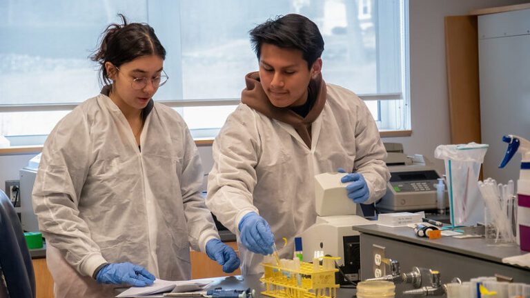 Undergraduate Programs - Assumption University